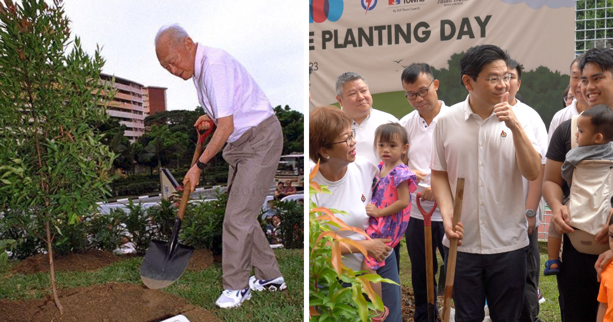 LKY100: Tree-Planting Day with DPM Wong & PAP MPs seeds S’pore’s ...