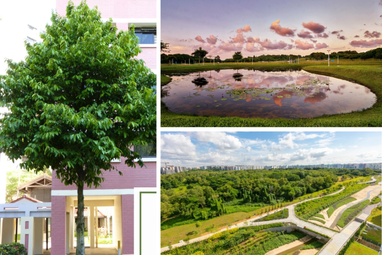 Building Tampines - How a visionary, new regional centre was conceived ...
